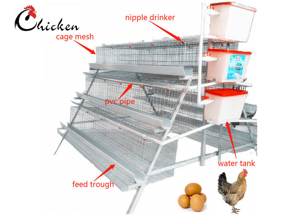 Automatic Chicken Layer Battery Cage Q235 Steel Modern Chicken Cages Automatic Chicken Layer Battery Cage Q235 Steel Modern Chicken Cages