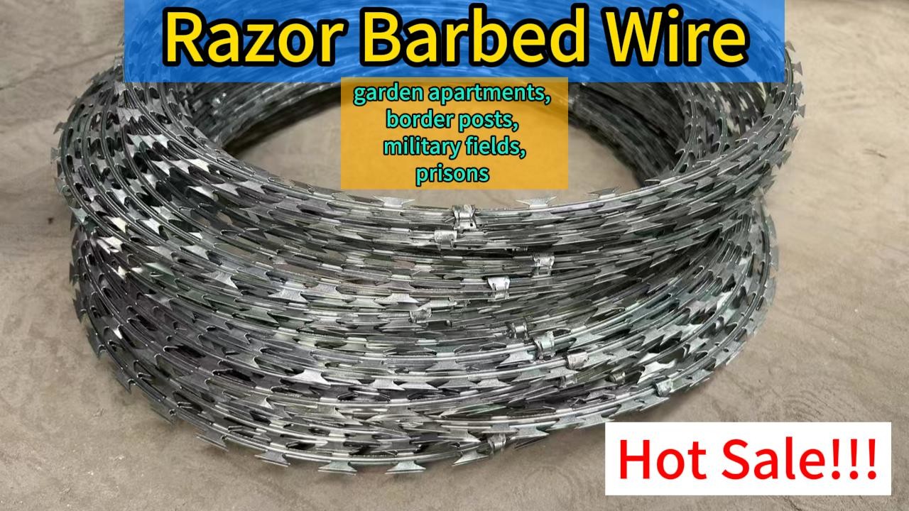 Manufacturer Supply 500mm Coil Diameter Concertina Razor Barbed Wire